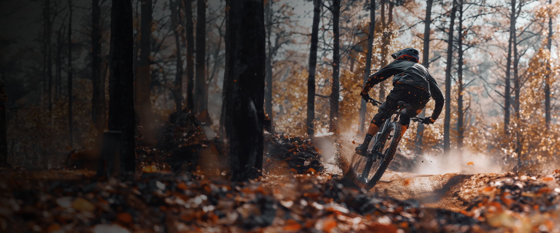 MTB – L-TWOO